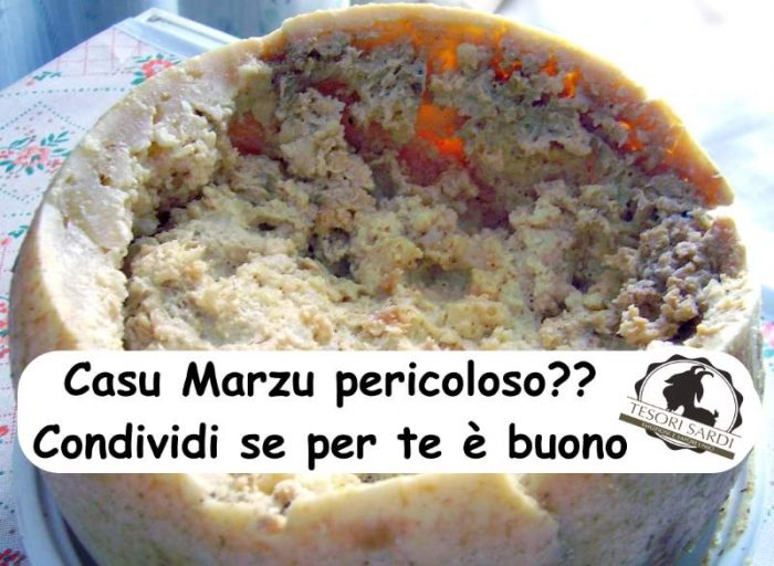 CASU MARZU - PERICOLOSO? ILLEGALE? - Tesori Sardi